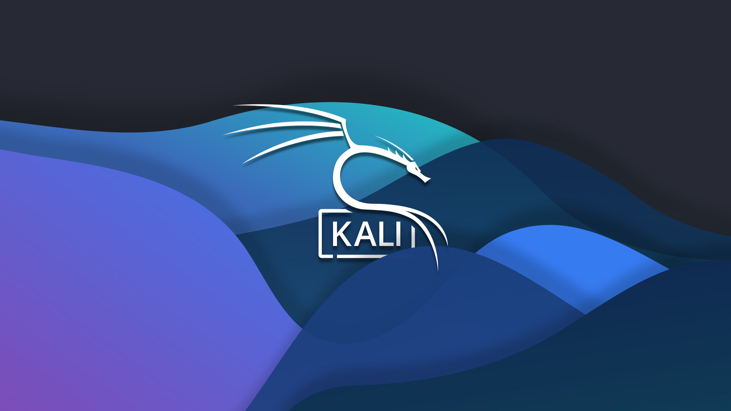 Kali Linux Nedir? - inetmar Hosting & Teknoloji Blog Haber Sayfası